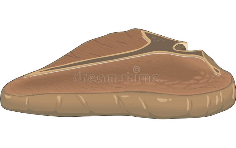 T-Bone Steak Vector Illustration Stock Vector - Illustration of bone ...