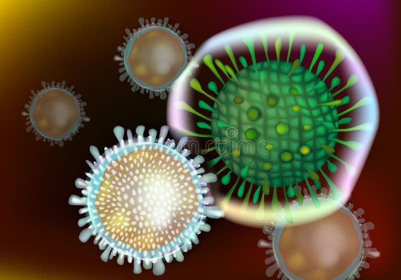 T-cell Attacking a Virus. T Cell Immune Response Illustration ...