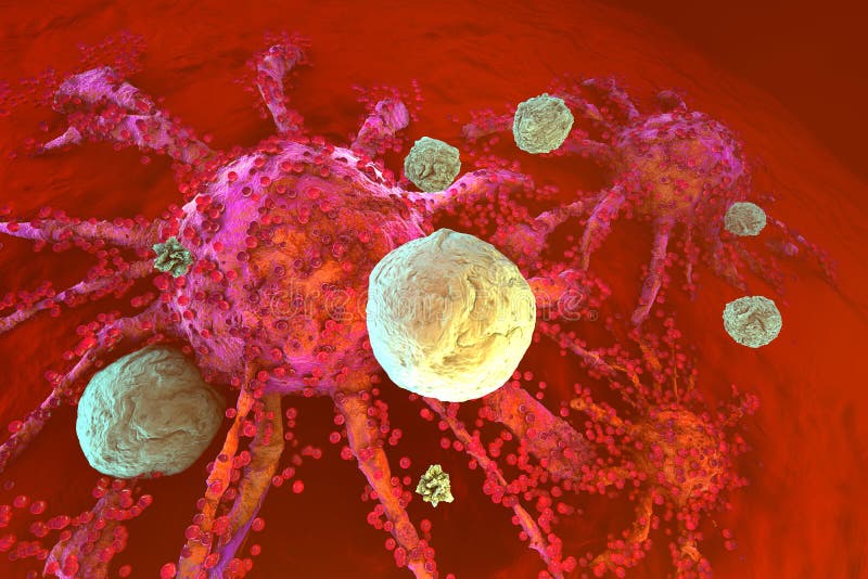 Immune System Cells Attacking a HIV Virus Stock Illustration ...