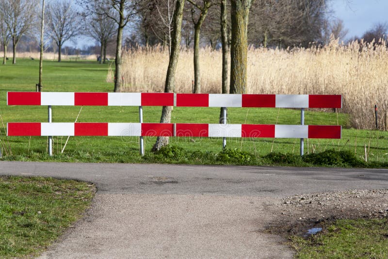 T-junction stock photo. Image of concepts, green, direction - 37968704