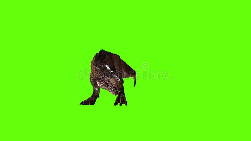 T-rex Chase Left Bite Green Screen Animation 3D Rendering Stock Video ...