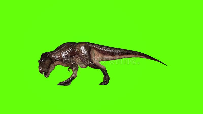 T-rex Chase Left Bite Green Screen Animation 3D Rendering Stock Footage ...