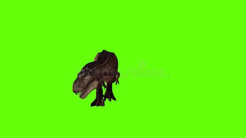 T-rex Chase Right Bite Green Screen 3D Animation Stock Video - Video of ...