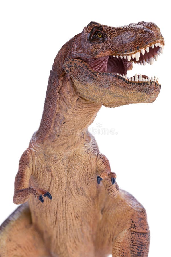 T Rex Side Stock Photos - Free & Royalty-Free Stock Photos from Dreamstime