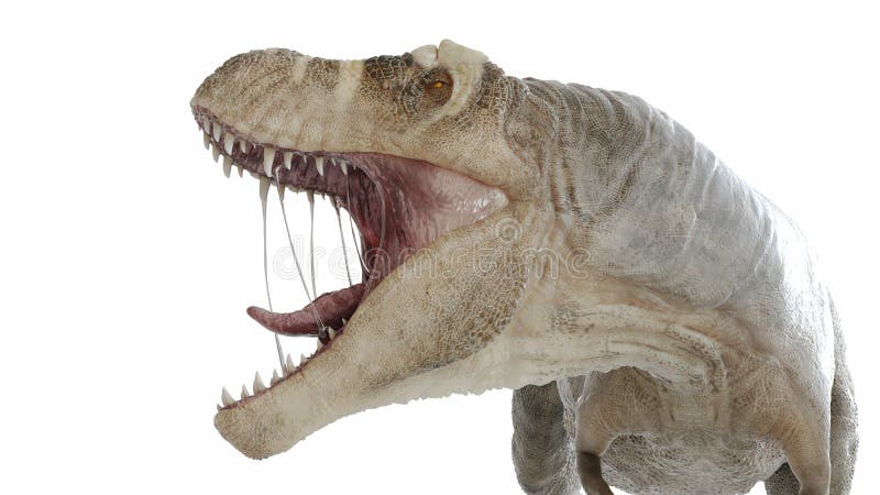 A T-rex stock illustration. Illustration of fear, graphic - 127849425