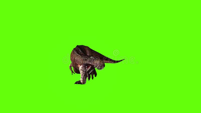 T-rex Chase Left Bite Green Screen Animation 3D Rendering Stock Video ...