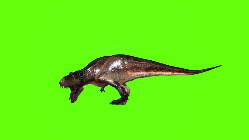 T-rex Chase Left Bite Green Screen Animation 3D Rendering Stock Video ...