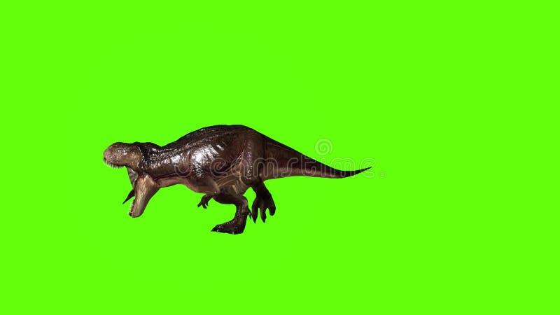 T-rex Dinosaur Chase Right Roar Animated on Green Background 3D ...