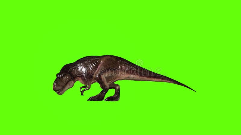 3D Animation T-rex Dinosaur Walk Bite on Green Screen Stock Footage ...