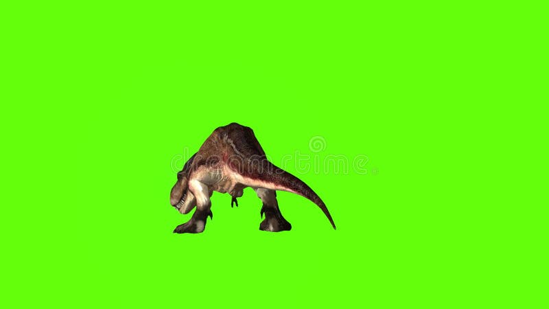3D Animation T-rex Dinosaur Walk Bite on Green Screen Stock Footage ...