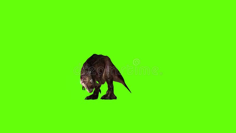 3D Animation T-rex Dinosaur Walk Bite on Green Screen Stock Footage ...