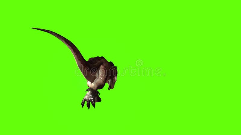 T-rex Dinosaur Hit Leg Move 3D Rendering Animated on Green Screen Stock ...