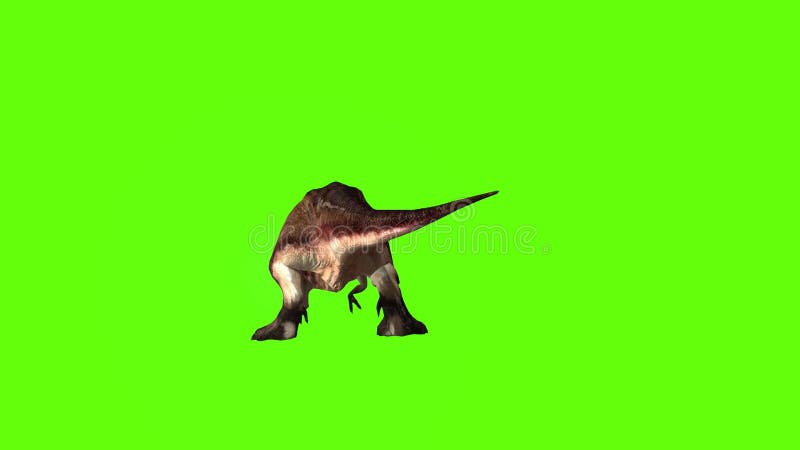 T-rex Dinosaur Hit Tarso Right 3D Rendering Animated on Green Screen ...