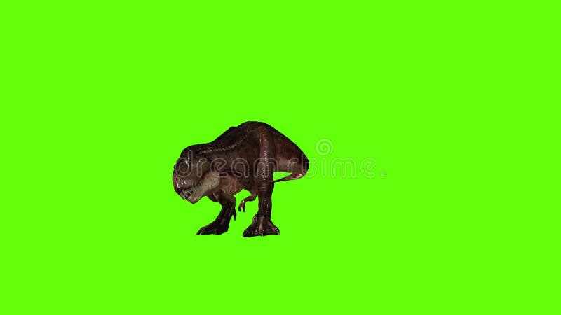 3D Animation T-rex Dinosaur Walk Bite on Green Screen Stock Footage ...