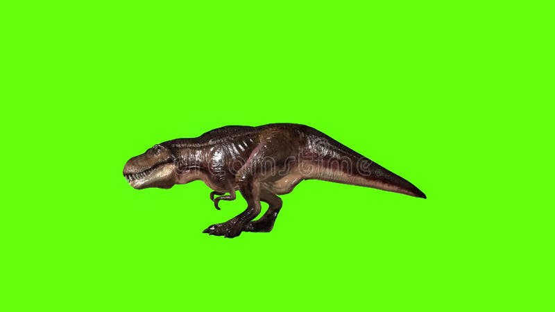 T-rex Dinosaur Human Bite 3D Rendering Green Screen Animation Stock ...