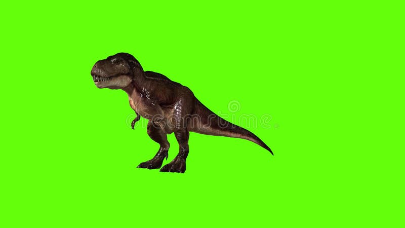T-rex Dinosaur Idle Investigation Green Screen Animation 3D Rendering ...