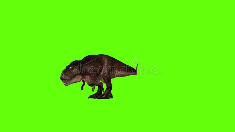 T-rex Dinosaur Idle Look Forward Green Screen Animation 3D Rendering ...