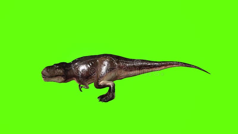 T-rex Dinosaur Close Left Bite Green Background Animation 3D Stock ...
