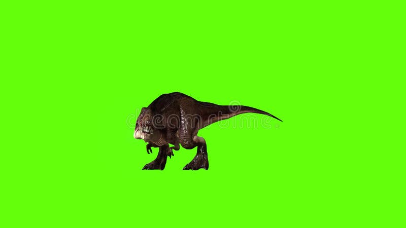T-rex Dinosaur Close Left Bite Green Background Animation 3D Stock ...