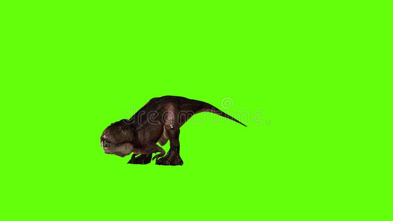 T-rex Dinosaur Mama Cave Bite Loop Green Screen Animation 3D Rendering ...