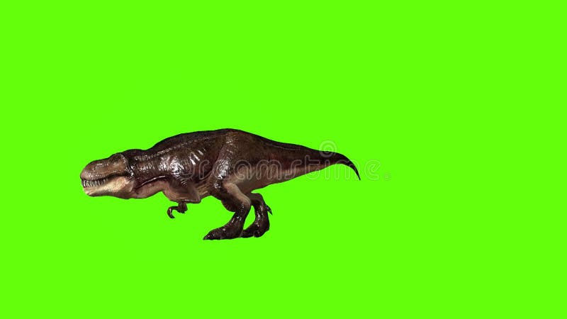 T Rex Dinosaur Stock Footage & Videos - 340 Stock Videos