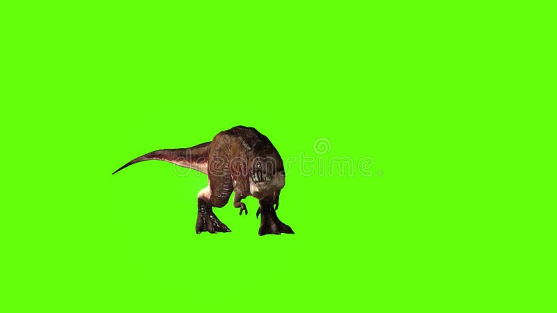 T Rex Dinosaur Stock Footage & Videos - 799 Stock Videos