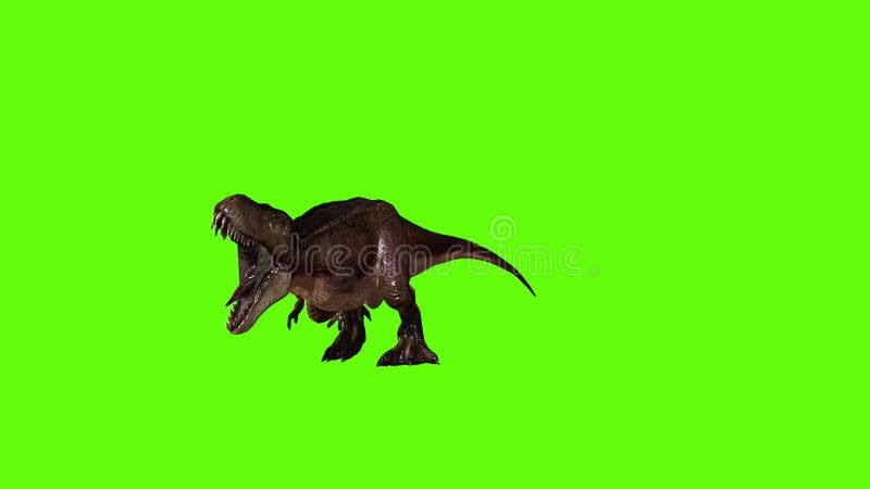 T-rex Dinosaur Roar Step Forward Green Screen Animation 3D Rendering ...