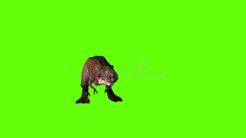 T-rex Dinosaur Turn 90 Right Green Screen Animation 3D Rendering Stock ...