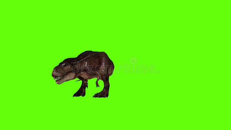 T-rex Dinosaur Turn 180 Right Green Screen Animation 3D Rendering Stock ...