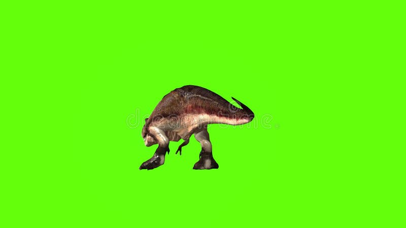 T-rex Dinosaur Turn 90 Right Green Screen Animation 3D Rendering Stock ...