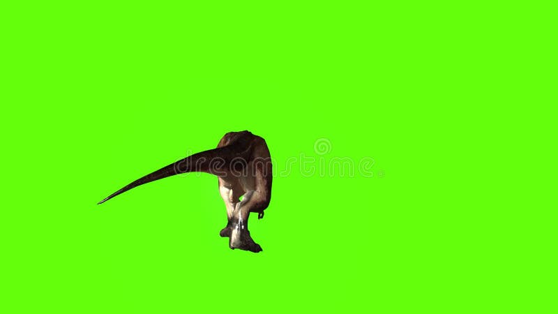 3D Animation T-rex Dinosaur Walk Bite on Green Screen Stock Footage ...