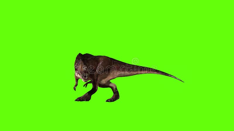 3D Animation T-rex Dinosaur Walk Bite Left on Green Screen Stock ...