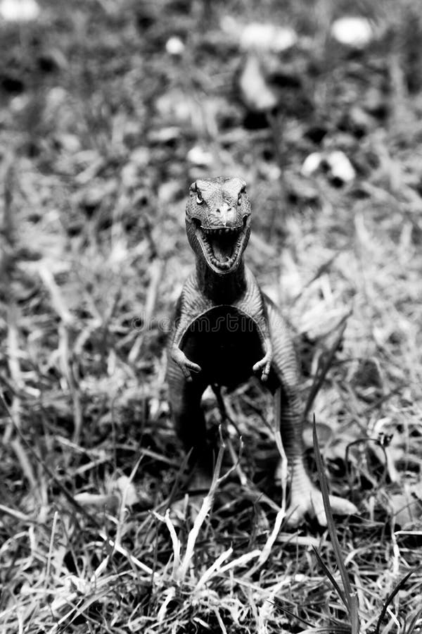 T REX Dinosaurs Model on Grass Background Stock Image - Image of ...