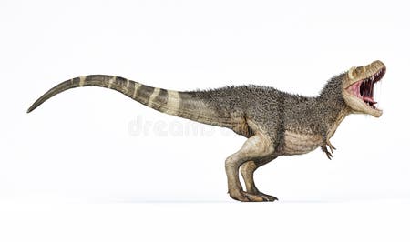 T Rex Side View Stock Illustrations – 65 T Rex Side View Stock ...