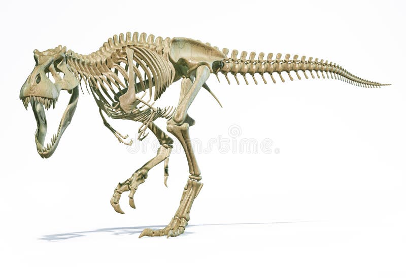 T-Rex Full Skeleton in Dynamic Pose. 3D Illustration Stock Illustration ...