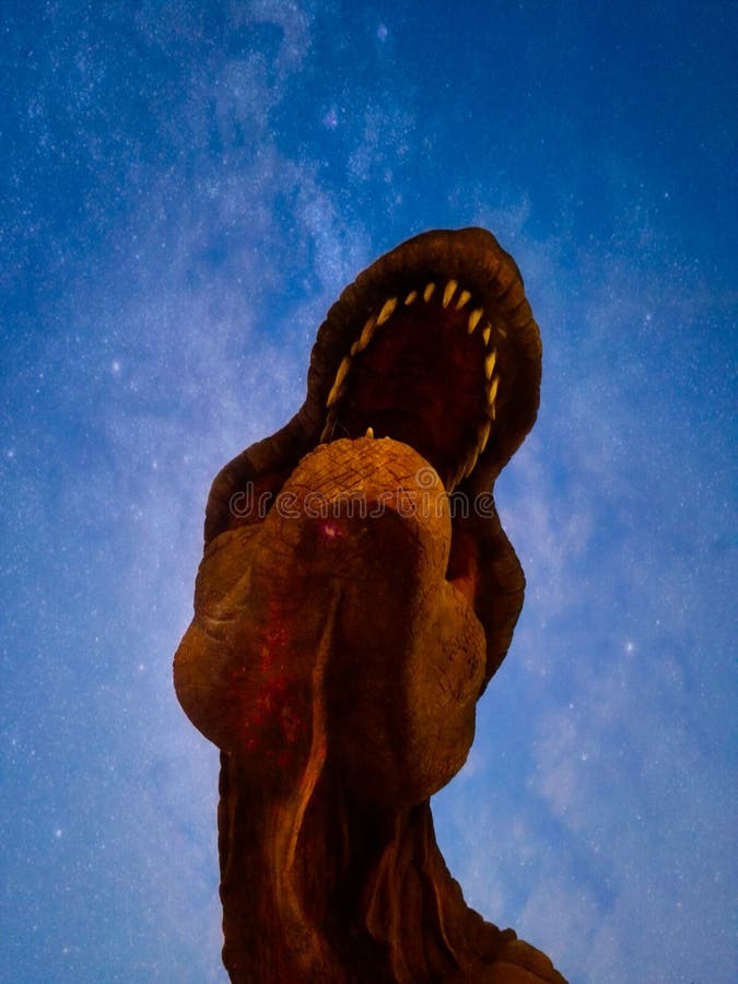 T-Rex Momentum Looking at the Starry Sky. Stock Photo - Image of animal ...