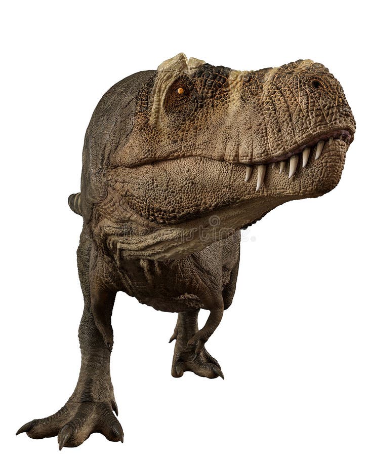 The big monster t-rex stock illustration. Illustration of animals ...