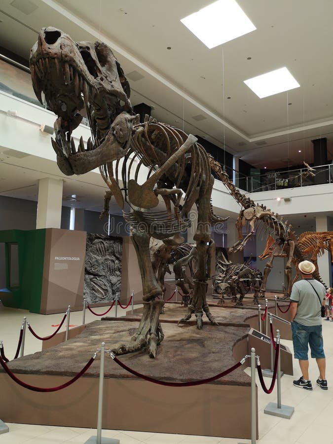 T rex editorial image. Image of rexrun, paleontology - 116465755