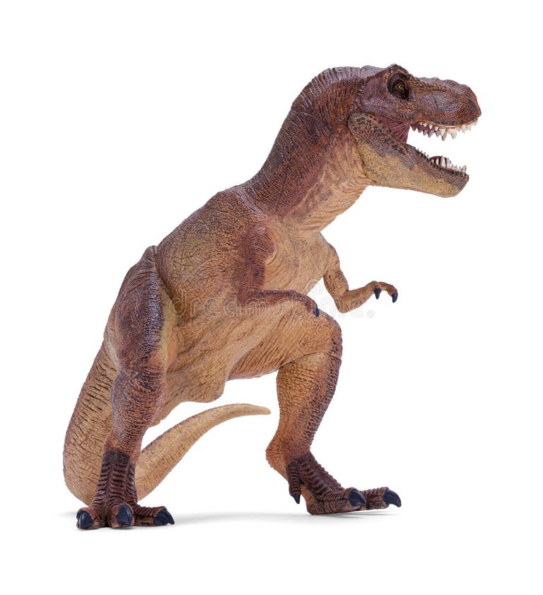 T Rex Side Stock Photos - Free & Royalty-Free Stock Photos from Dreamstime