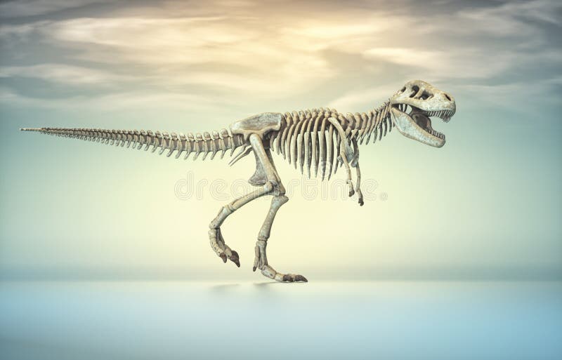 T rex skeleton stock illustration. Illustration of paleontology - 271527228