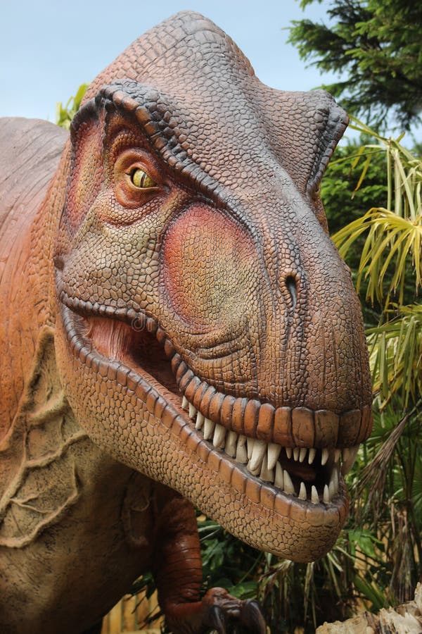 T-Rex stock image. Image of rock, looking, teeth, standing - 63320507