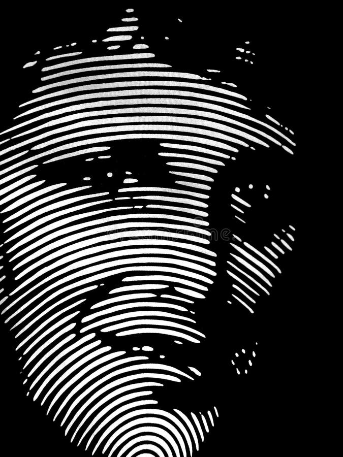 T-shirt da raposa de Terry fotografia editorial. Imagem de terry - 12139487