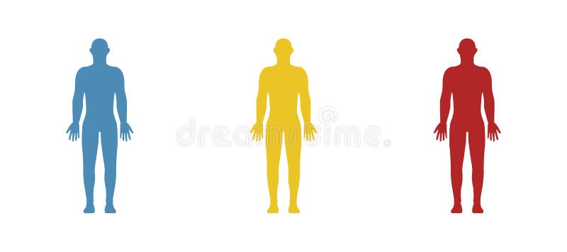 Human Icon on a White Background, Vector Illustration Stock Vector ...