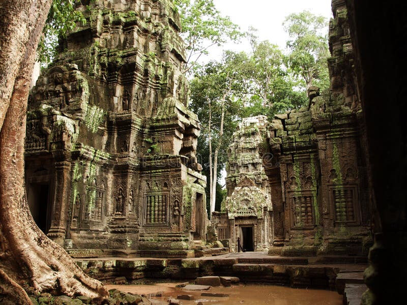 Ta prohm 2 stock image. Image of attraction, reap, atmospheric - 22269293