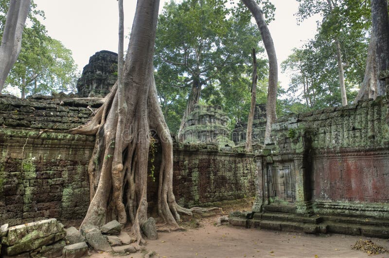 Ta Prohm stock image. Image of budhist, angkor, roots - 25737589