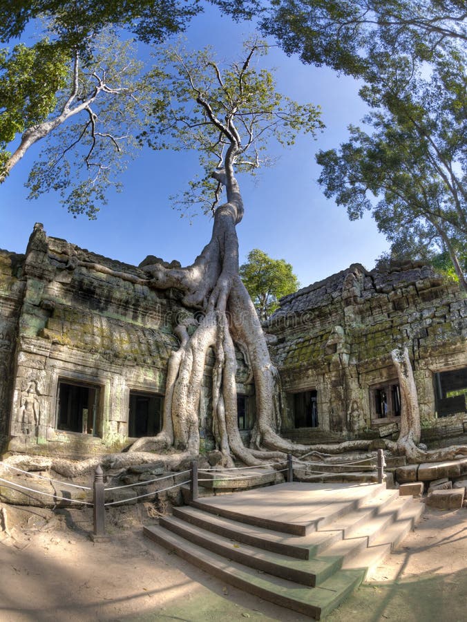 Ta Prohm stock photo. Image of jungle, city, erosion - 25807894