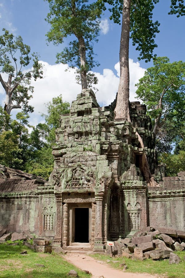Ta Prohm temple,Angkor stock image. Image of interior - 14788093