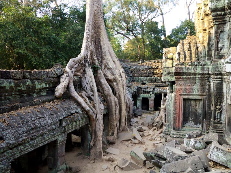 Ta Prohm, Angkor stock photo. Image of angkor, stone - 29421900