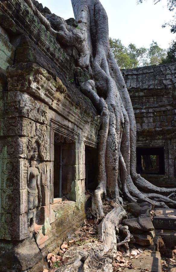 Ta Prohm stock image. Image of sitting, temple, cambodia - 139635801