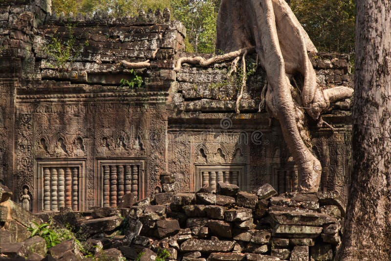 Ta Prohm, Angkor Wat, Cambodia, Trees Engulfing the Temple Structures ...